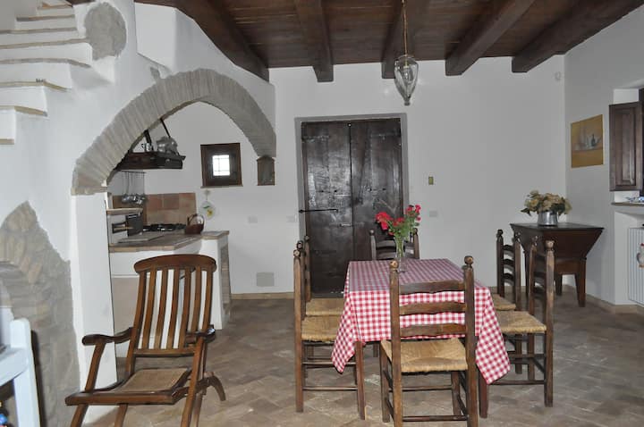 Olmo Dell'asino - Monterotondo