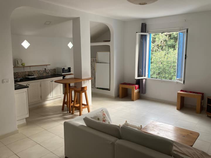Appartement Meublé S+1 Au Centre - Tunis
