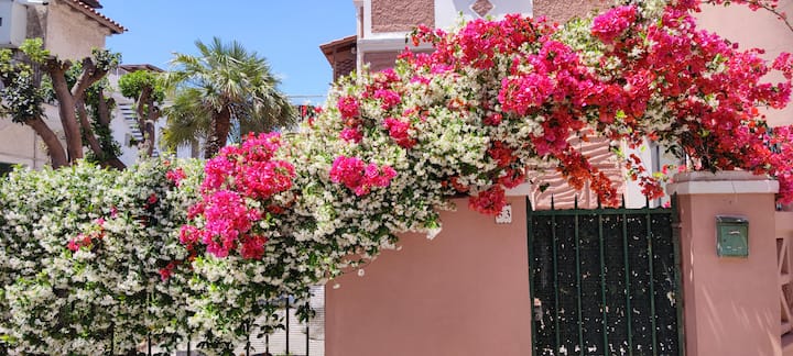 Appartamento Grande Con Giardino A Santa Marinella - Santa Marinella