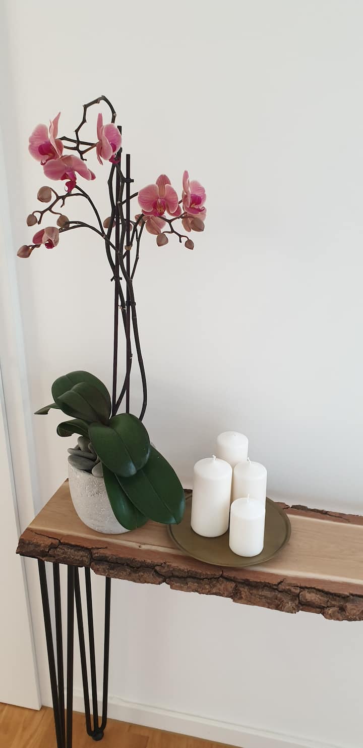 Beautiful Central Apartment - 5 Min Oktoberfest -