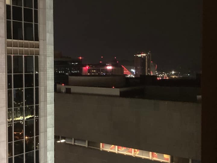 Dazzling Penthouse - Downtown Atl....free Parking! - Atlanta, GA