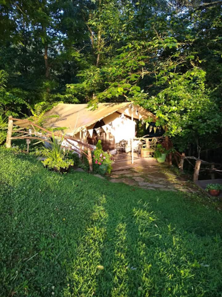 Top 24 Spots For Glamping in Pigeon Forge, Tennessee - Updated 2024 ...