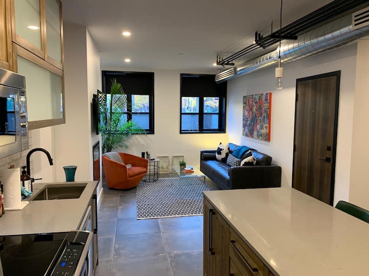 Bright, Upscale 1 Br, Ottawa Centretown - Ottawa