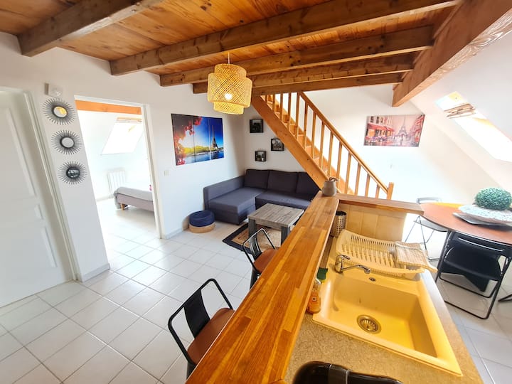 Magnifique App Proche Aéroport Cdg, Astérix, Paris - Survilliers