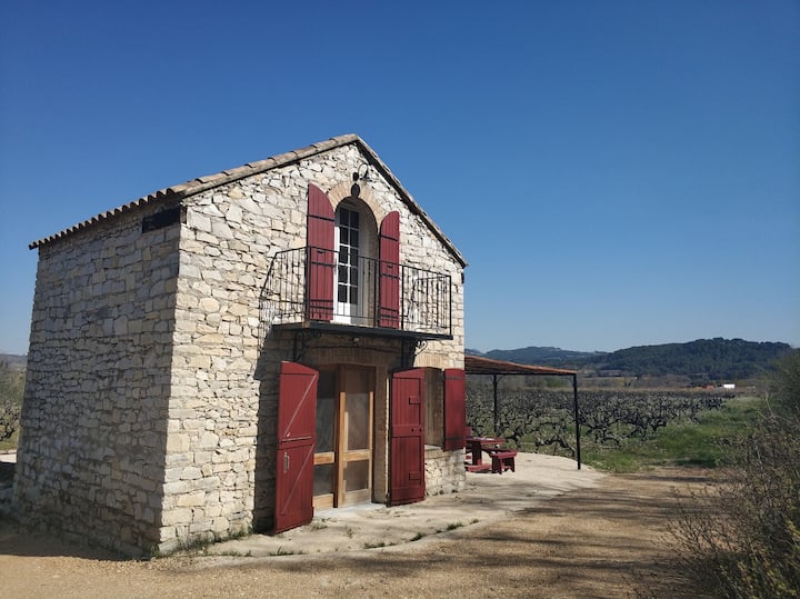 Le Cabanon Dans Les Vignes - Vaucluse