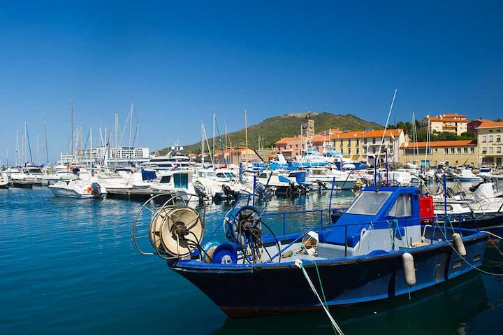 Sam - Studio Côté Port - Port-Vendres