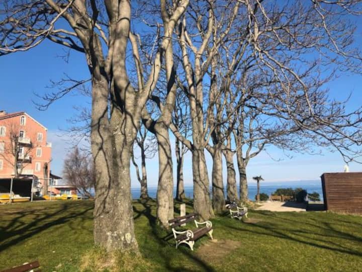 Quiet Part Of Town Studio With Parking - Piran
