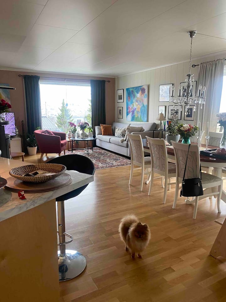 A Room With A Wiew - Tromsø
