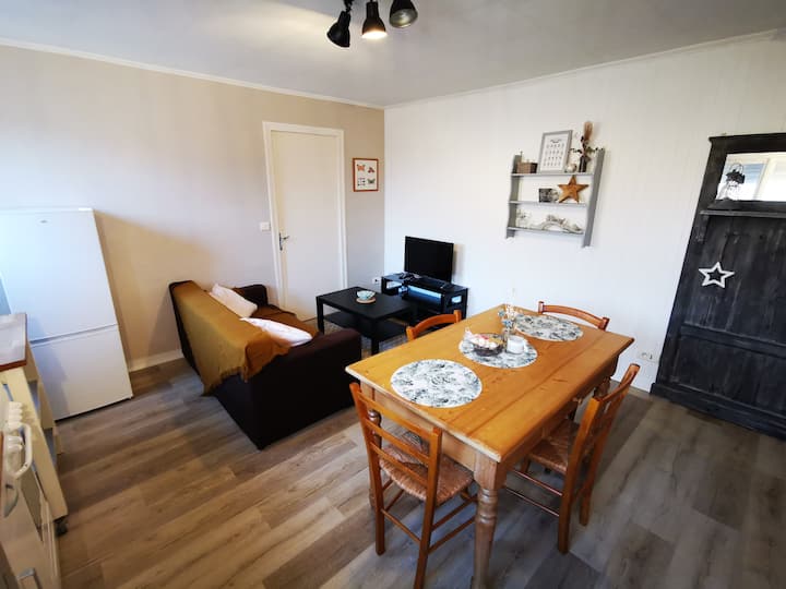 Appartement Meublé Centre Ville De Falaise - Falaise