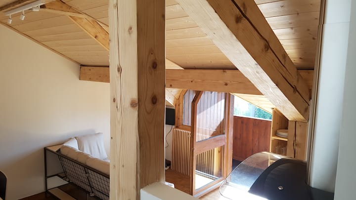 Appartement Les Dents Blanches - Samöens Centre - Samoëns