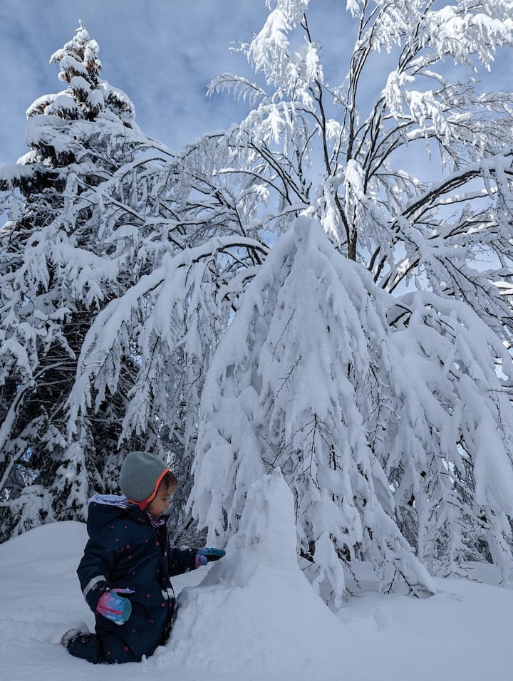 Kopaonik Story – Your Home In The Mountains - Kopaonik