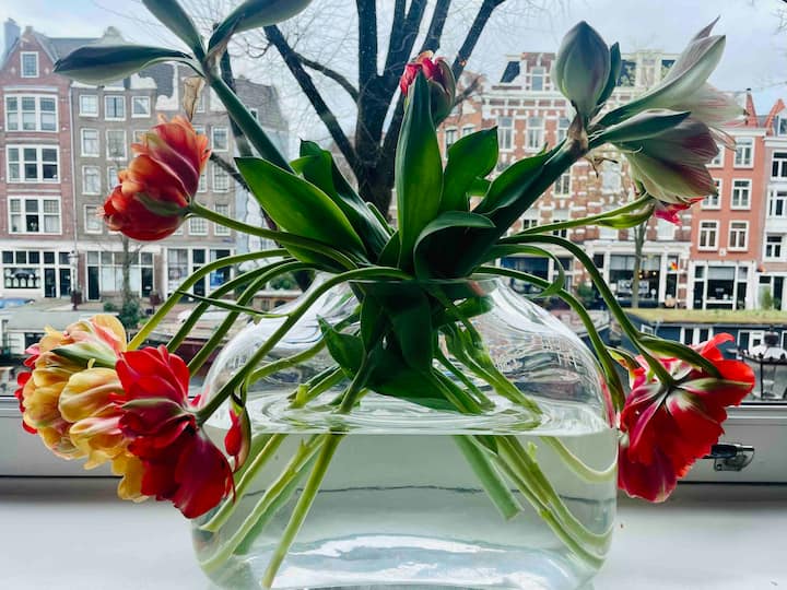Canal House On Prinsengracht City Centre + Garden - Amsterdam