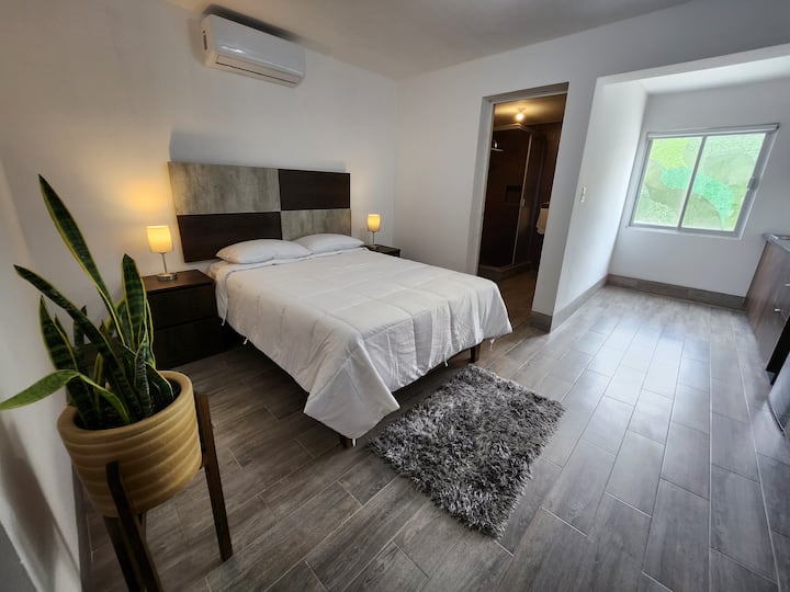 #3 Casa Hidalgo. Excelente Loft. - Torreón