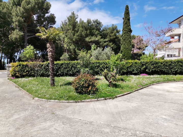 Apartman U Neposrednoj Blizini Plaže - Rovinj