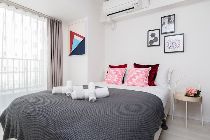 Ueno/ginza/tokyo Sta./asakusa/airport※2ppl - Ueno