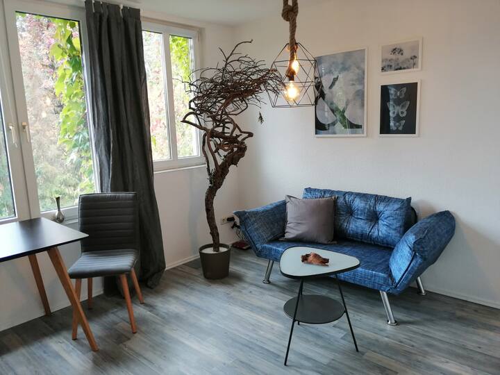 1-raum Apartment " Mustang" - Ottendorf-Okrilla