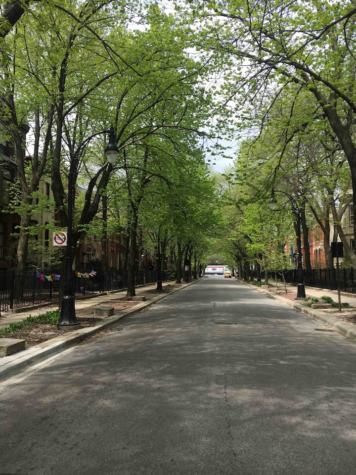 Garden Apartment In The Historic Heart Of The City - New City - Chicago