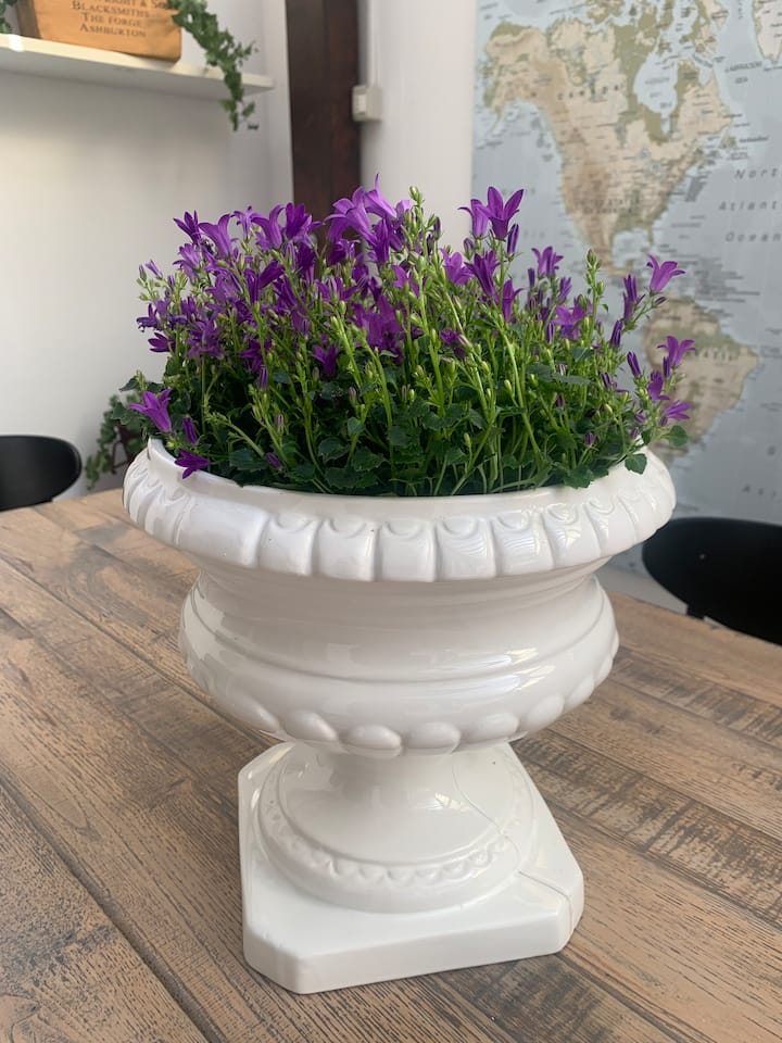 Casa Altea - Pordenone