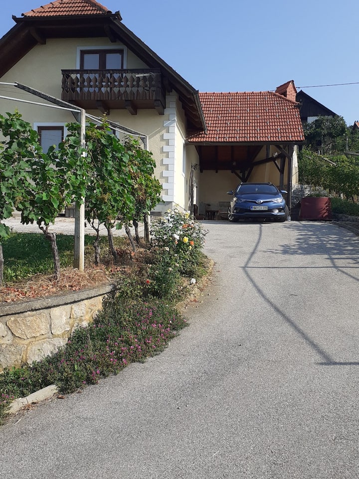Predvsem Domacnost - Gradac