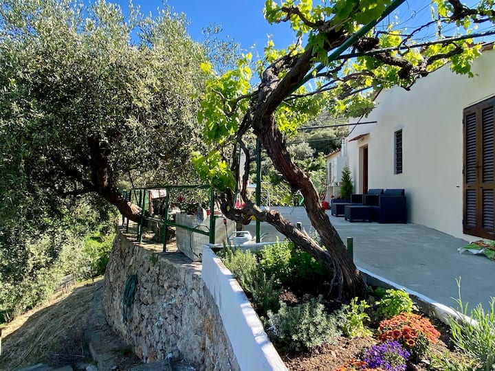 Olea Olens Country House - Monte Argentario