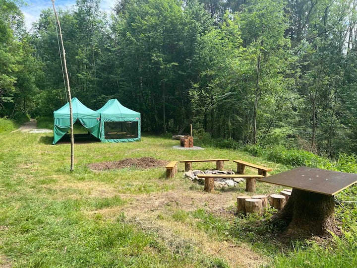 Wald Camp Inmitten Ursprünglicher Natur - Bayern
