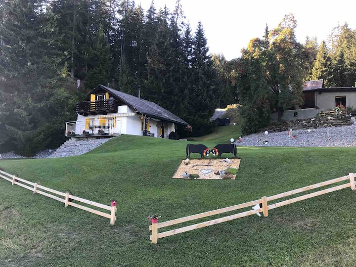 Chalet à La Montagne - Leukerbad, Switzerland