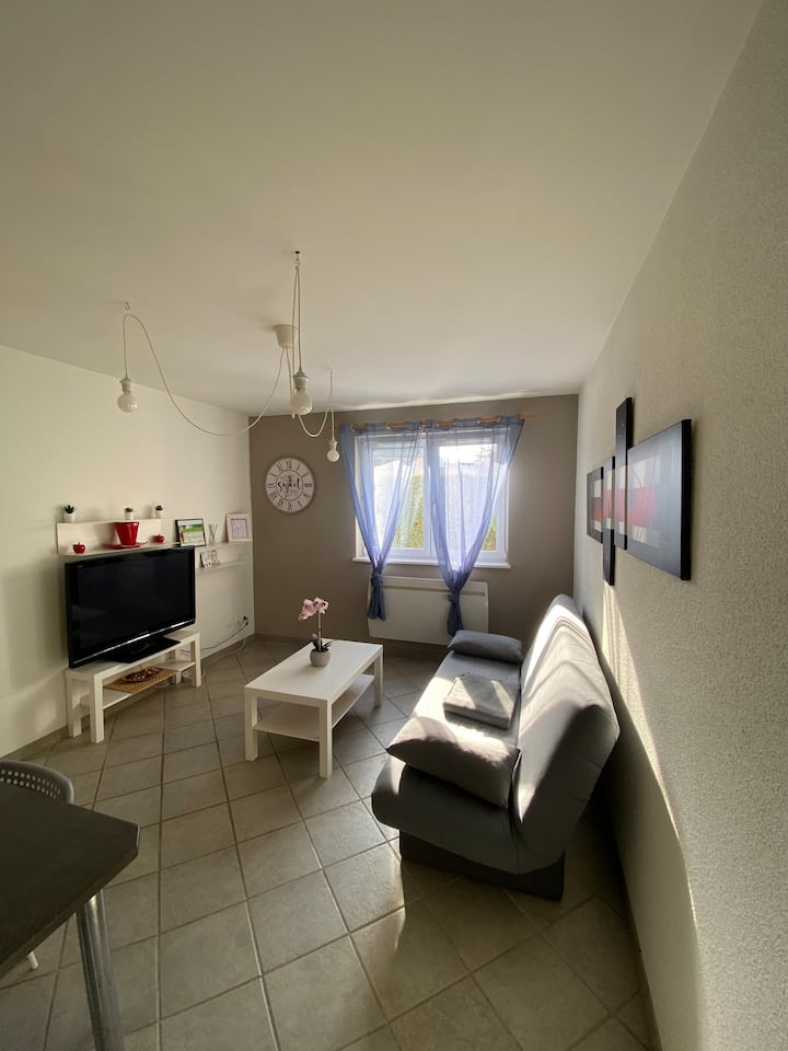 T1 Sympathique Logement A Thann - Thann