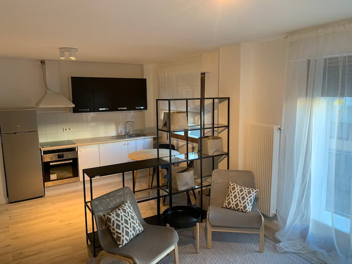 Grand Studio Au Centre à 7 Min Du Ceva - Annemasse