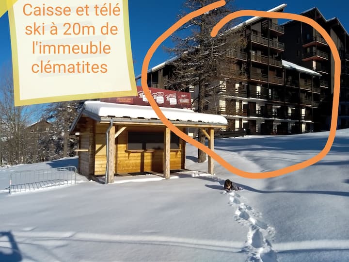 Studio Cabine Skis Aux Pieds 
Les Clématites - Risoul