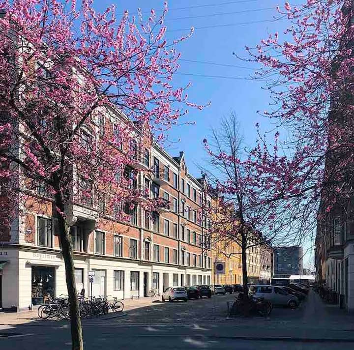 New Yorker Apartment On The Heart Of Copenhagen - Copenhaguen