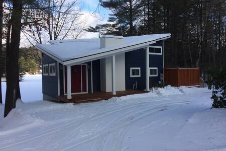 Lake Rescue Vacation Rentals & Homes - Ludlow, VT | Airbnb