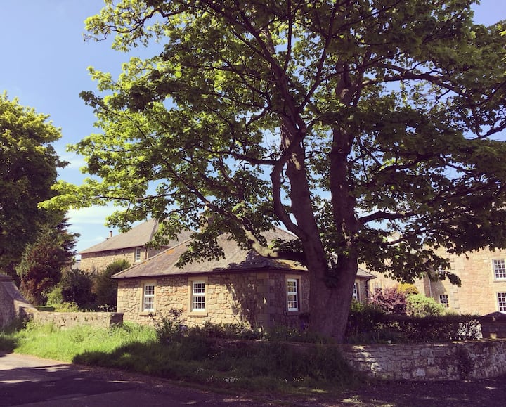 West Lodge Holiday Cottage, Beadnell - Beadnell