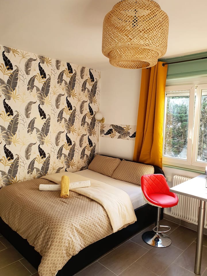 Studio Chic Moderne + Parking - Mulhouse