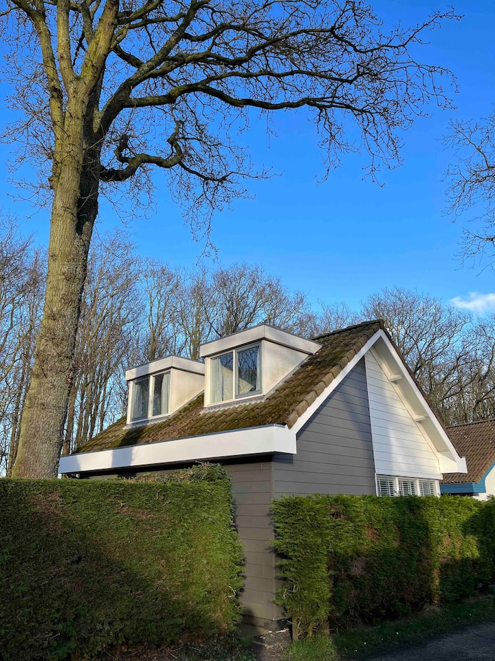 Huisje Aan Zee 'Dwergstern' (6 Pers, Nr 21.) - Flessingue