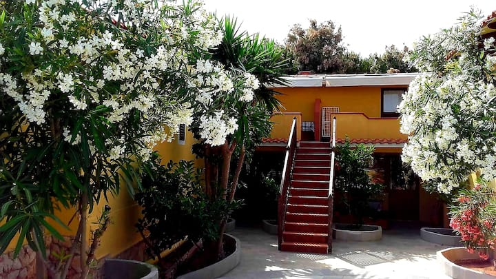 Il Paradiso All'improvviso - Lampedusa