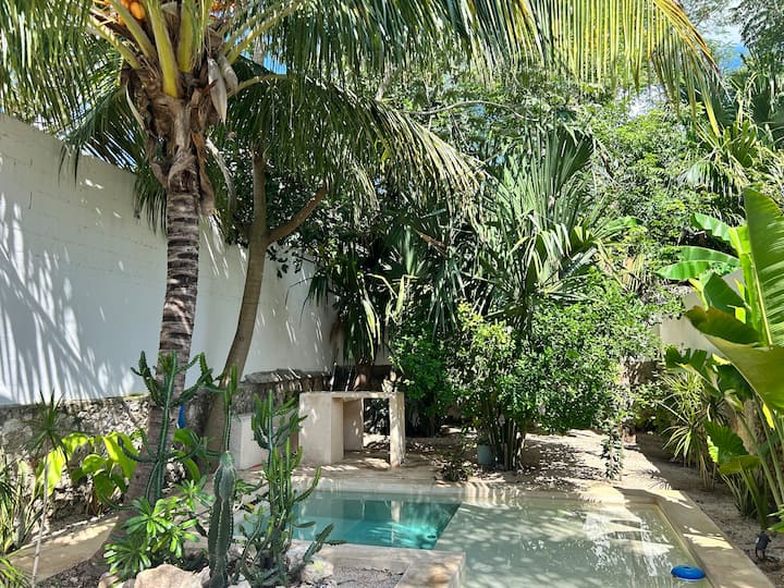 Oasis En El Centro Histórico - Mérida, México