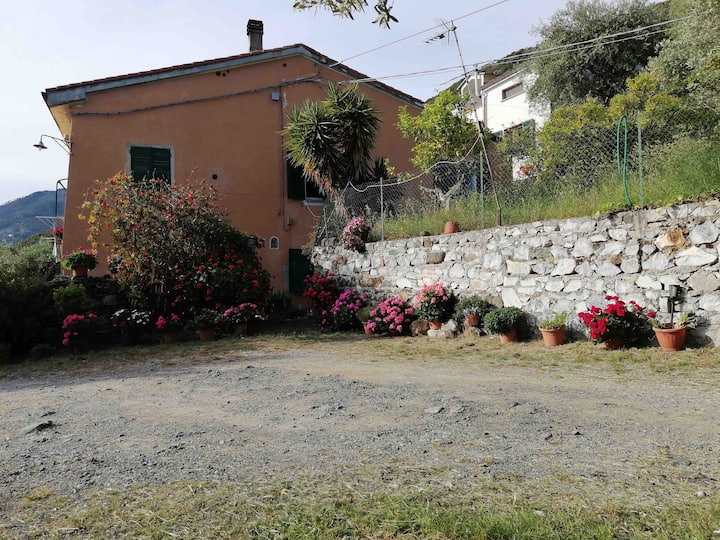 Casa Tra Gli Ulivi - Bonassola
