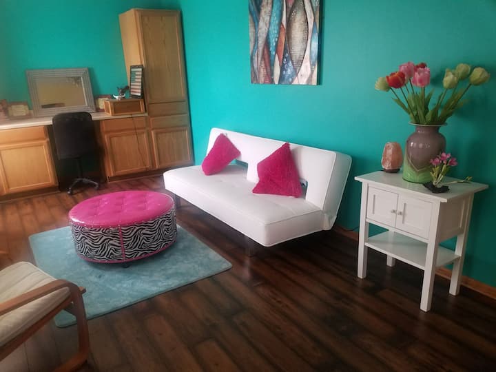 Cozy 1 Br Guest Rm Tempurpedic Bed - Joliet, IL