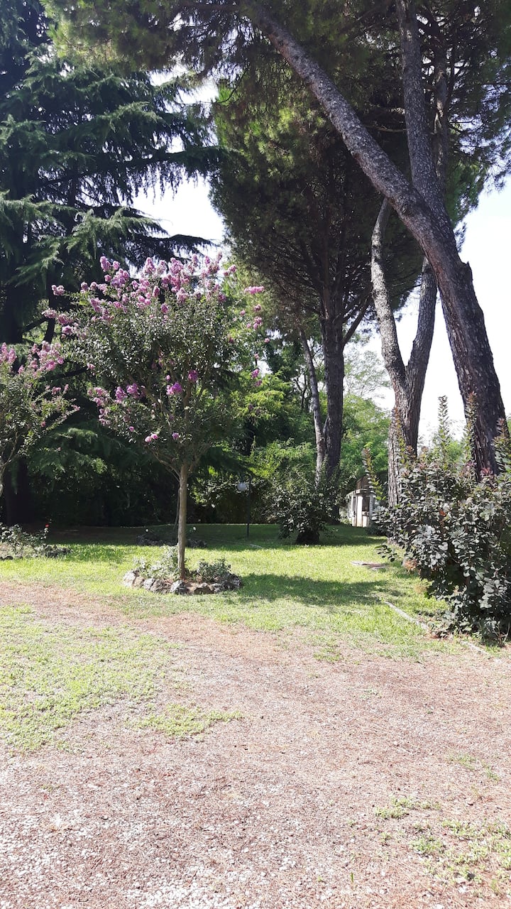 La Casa Sulla Collina - Vicenza