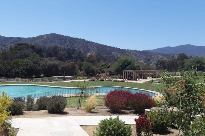 Lindo Dpto En Papudo A Pasos De La Playa(con Wifi) - Papudo