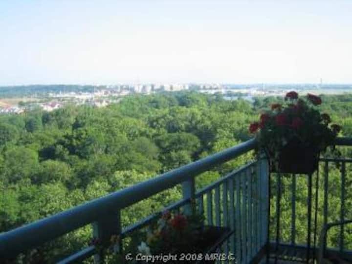 Resort Location On The Potomac River, 2bed/2bath - Alexandria, VA