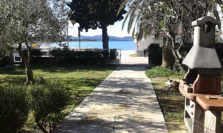 Seafront Apartment - Olive Grove Inn -Diklo, Zadar - Zadar