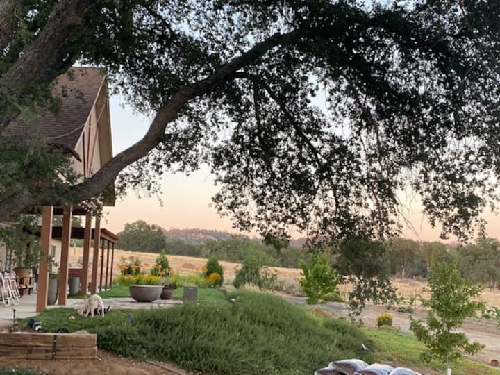 Wildcat Ranch And Vineyard "Yosemite Room" - 優勝美地國家公園