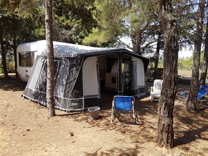 Caravane 4 Couchages Dans Une Propriété Privée - Agde