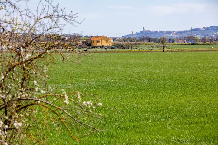 Casa Vacanze Verde Marche - Osimo