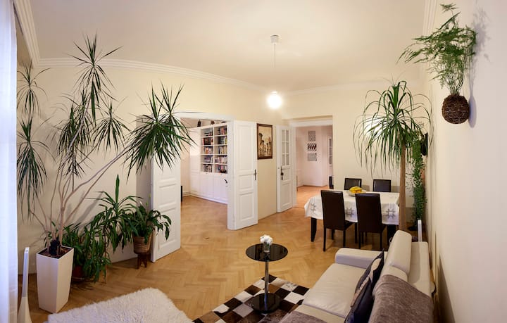 Charismatic 1920's Apartment Near Prague Castle - Praga