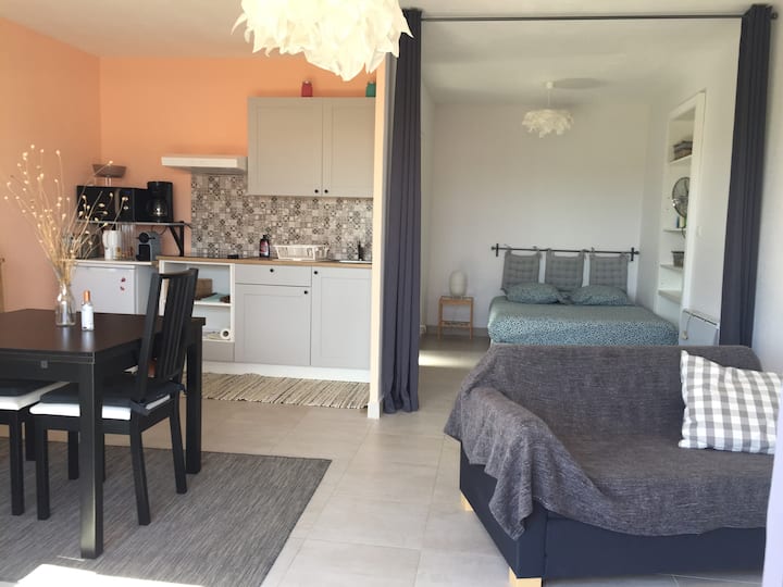 Studio Au Calme Vallon Pont D'arc Grotte Chauvet - Lagorce