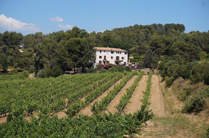 Rural House In Full Natura. 20 Min Beach. Bcn - Sant Sadurní d'Anoia
