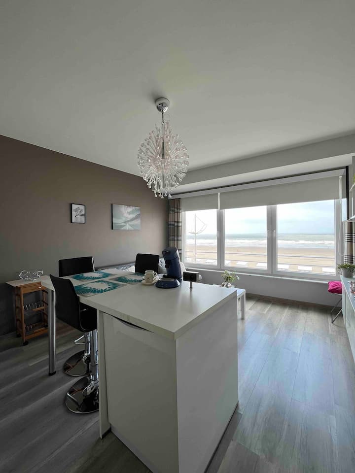 Prachtig Frontaal Zeezicht - Koksijde