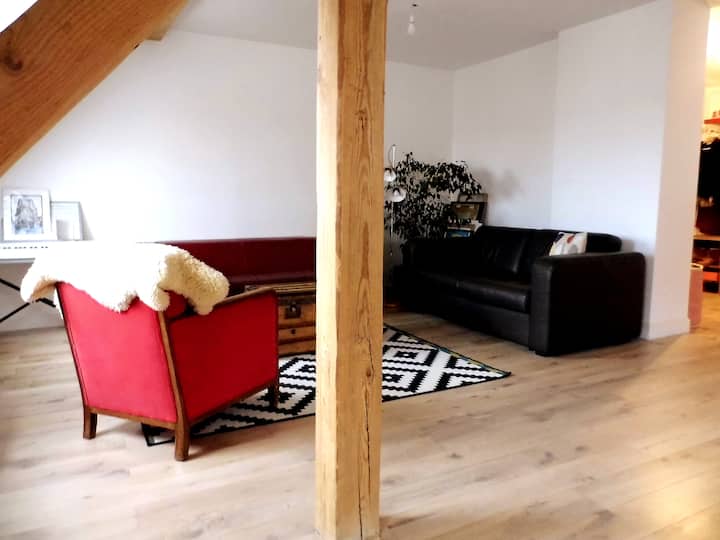 Loft Familial Avec Vue Sur La Cathédrale - Strassburg